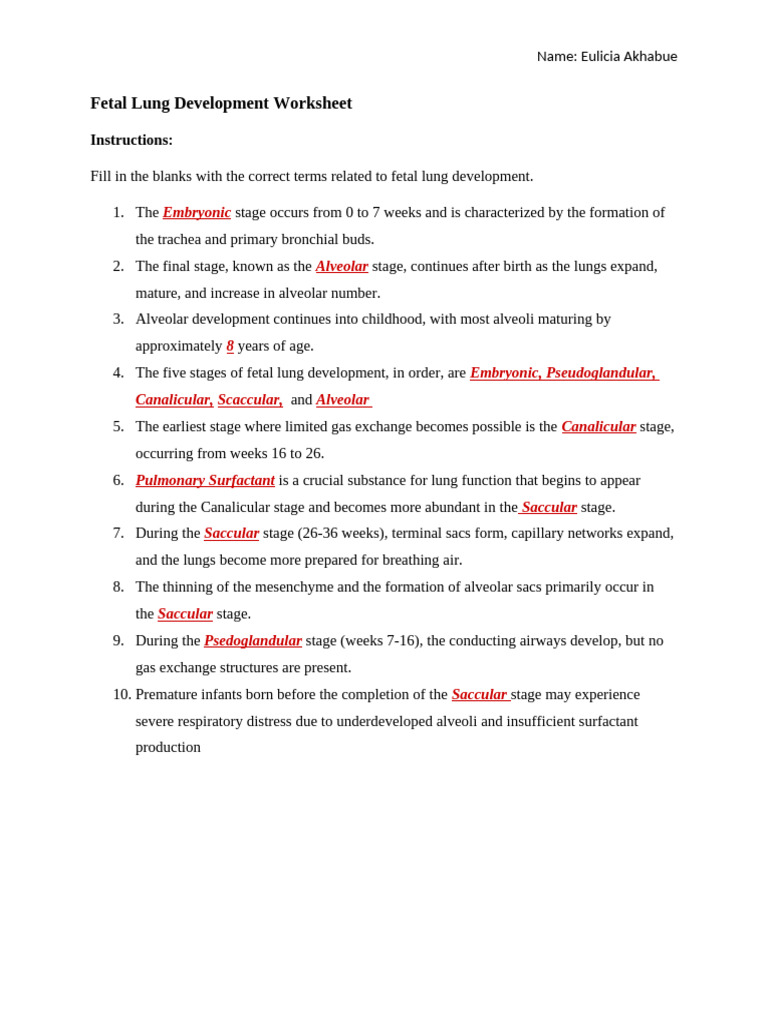 Fetal Lung Development Worksheet | PDF