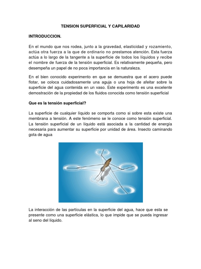 Tensión Superficial y Capilaridad del Agua | PDF | Tensión superficial ...