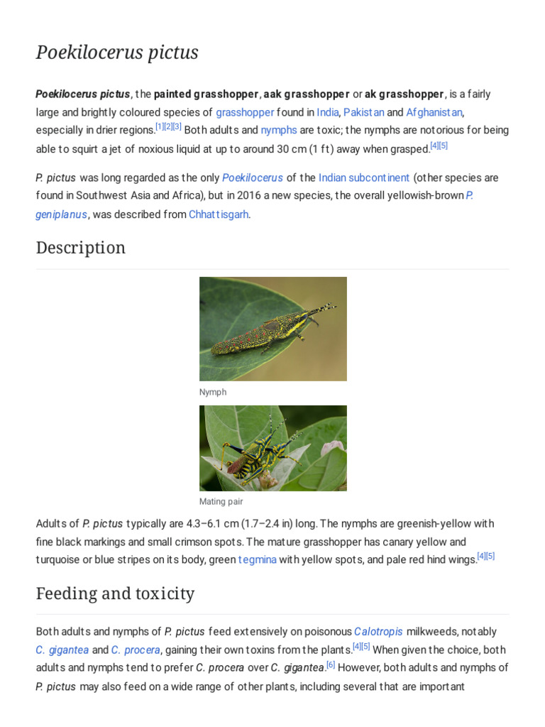 Poekilocerus pictus - Wikipedia | PDF