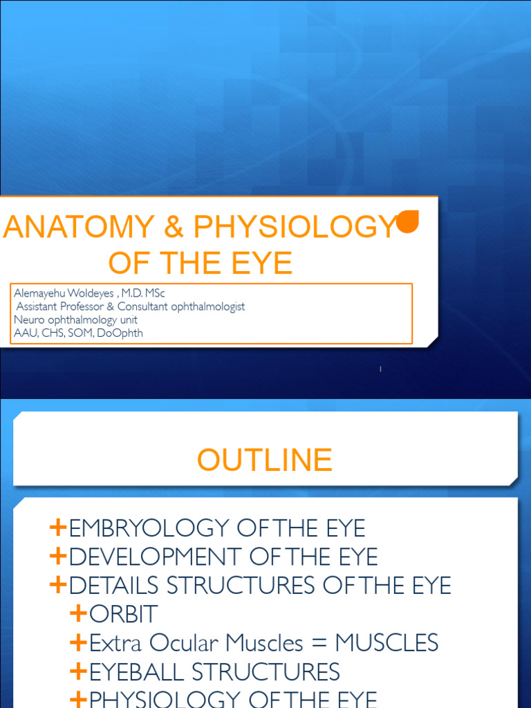 Eye Anatomy and Physiology Overview | PDF | Visual System | Cornea