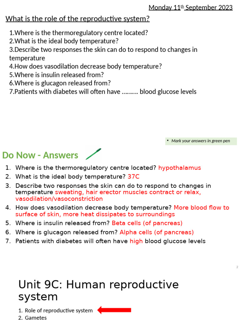 Understanding the Reproductive System | PDF | Reproductive System | Uterus