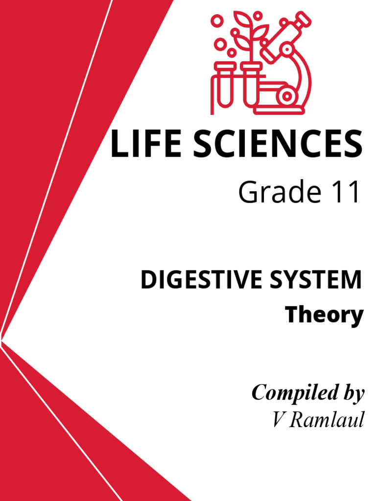 Gr11 LS DigestiveSystem Theory | PDF