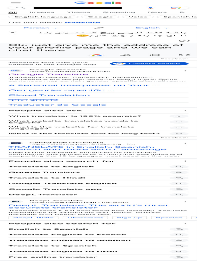 Google Translate: Camera & Text Features | PDF