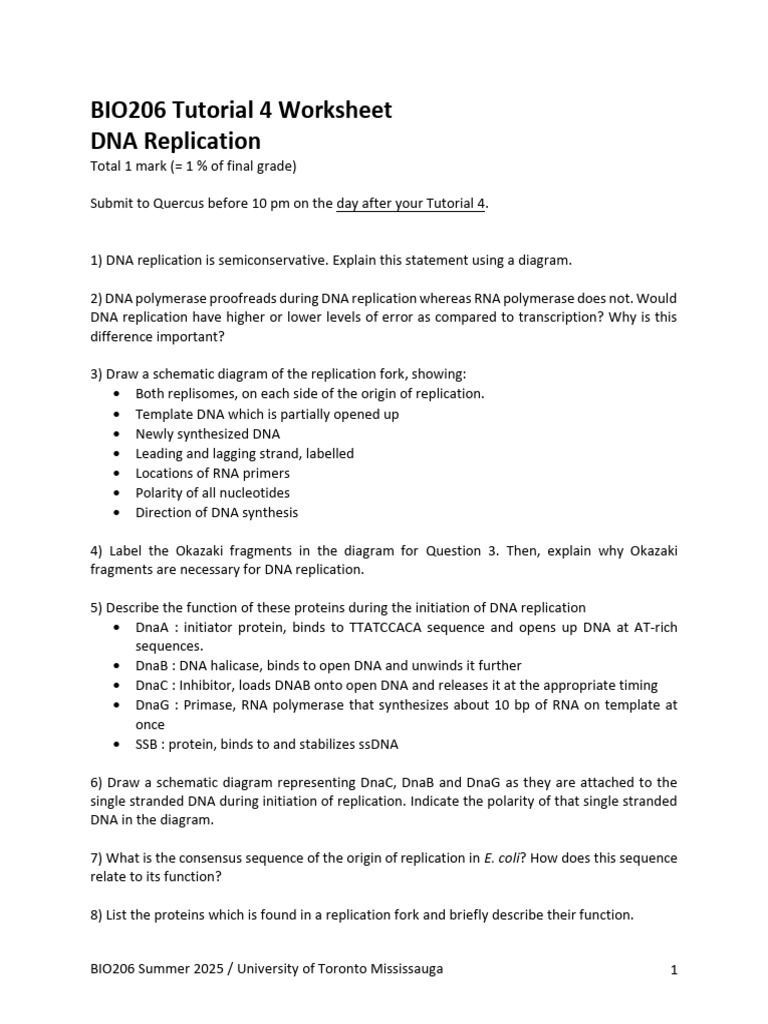 BIO206 Tutorial 4 Worksheet | PDF | Dna Replication | Dna