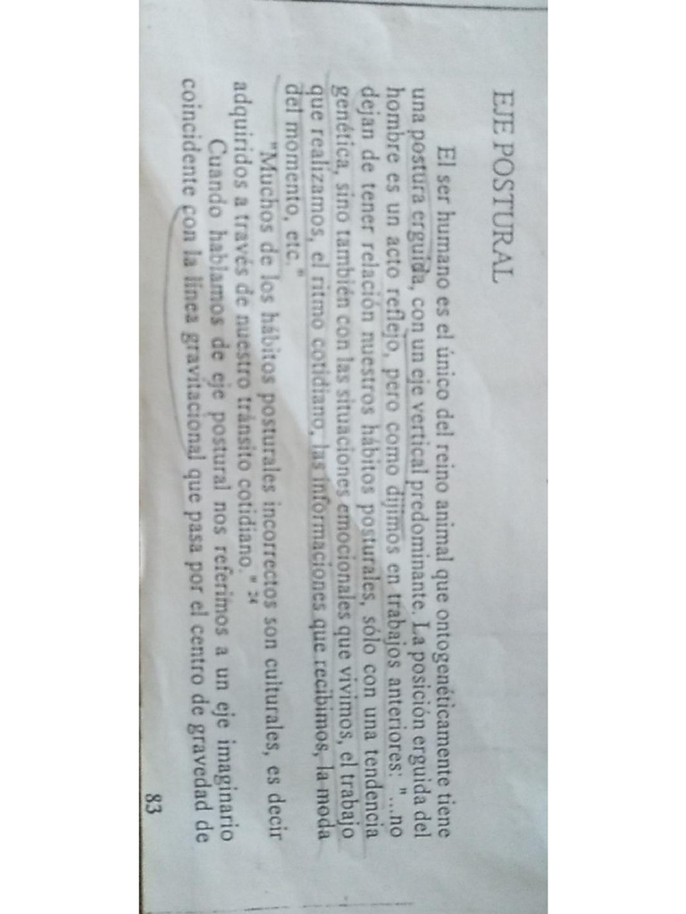 Eje Postural y Tono Muscular | PDF