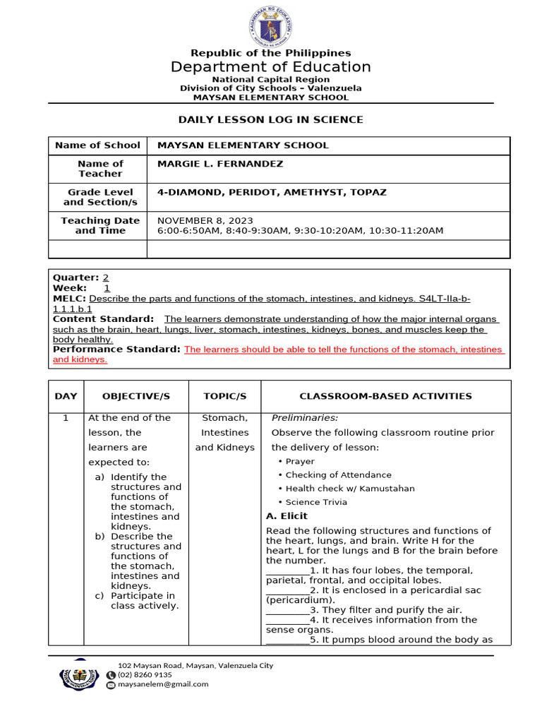Grade 4 Science Daily Lesson Log | PDF | Stomach | Gastrointestinal Tract