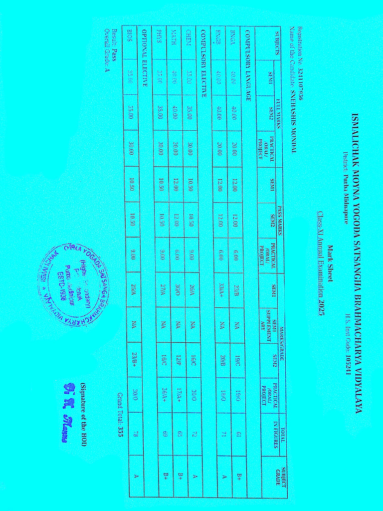 Class 11 Marksheet | PDF