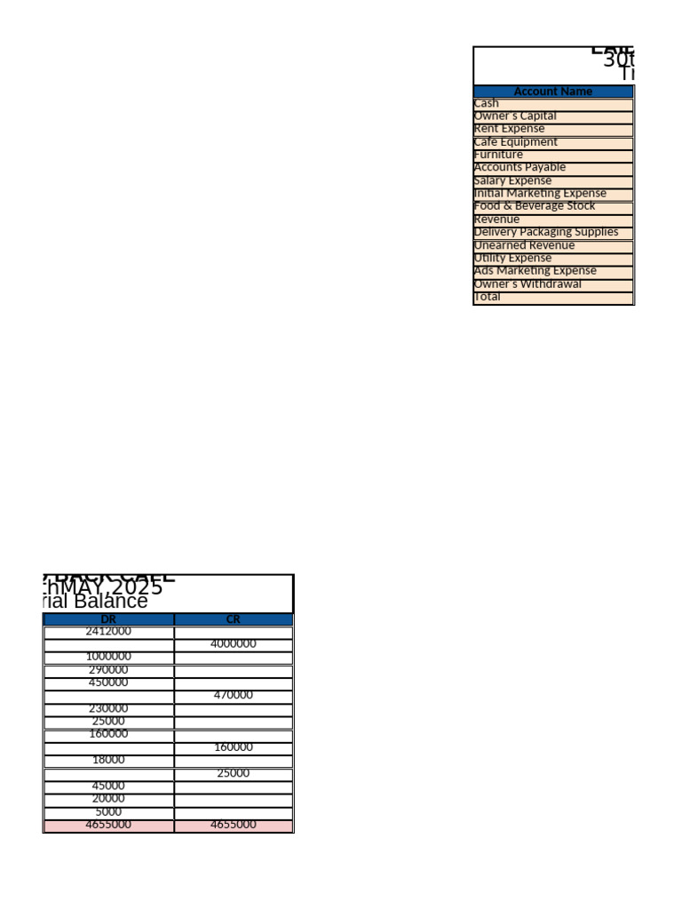 Laid Back Cafe Trial Balance Report | PDF