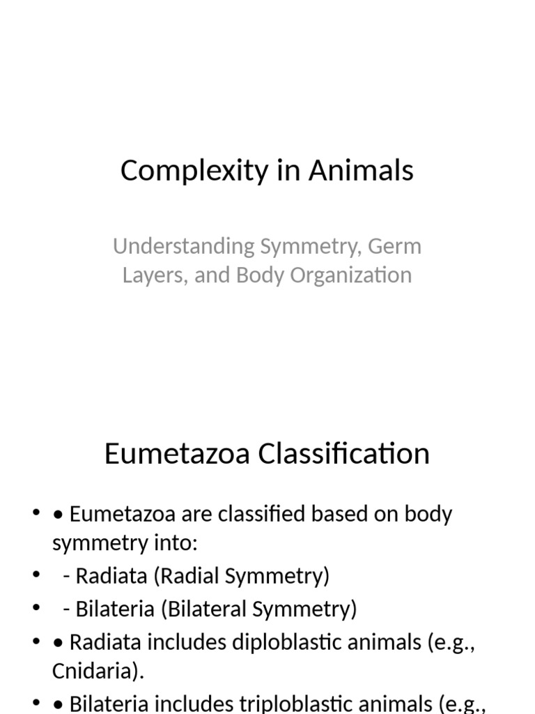 Complexity in Animals With Images | PDF