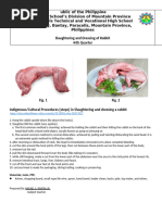 Rabbit Intramuscular Injection Guide | PDF | Injection (Medicine ...