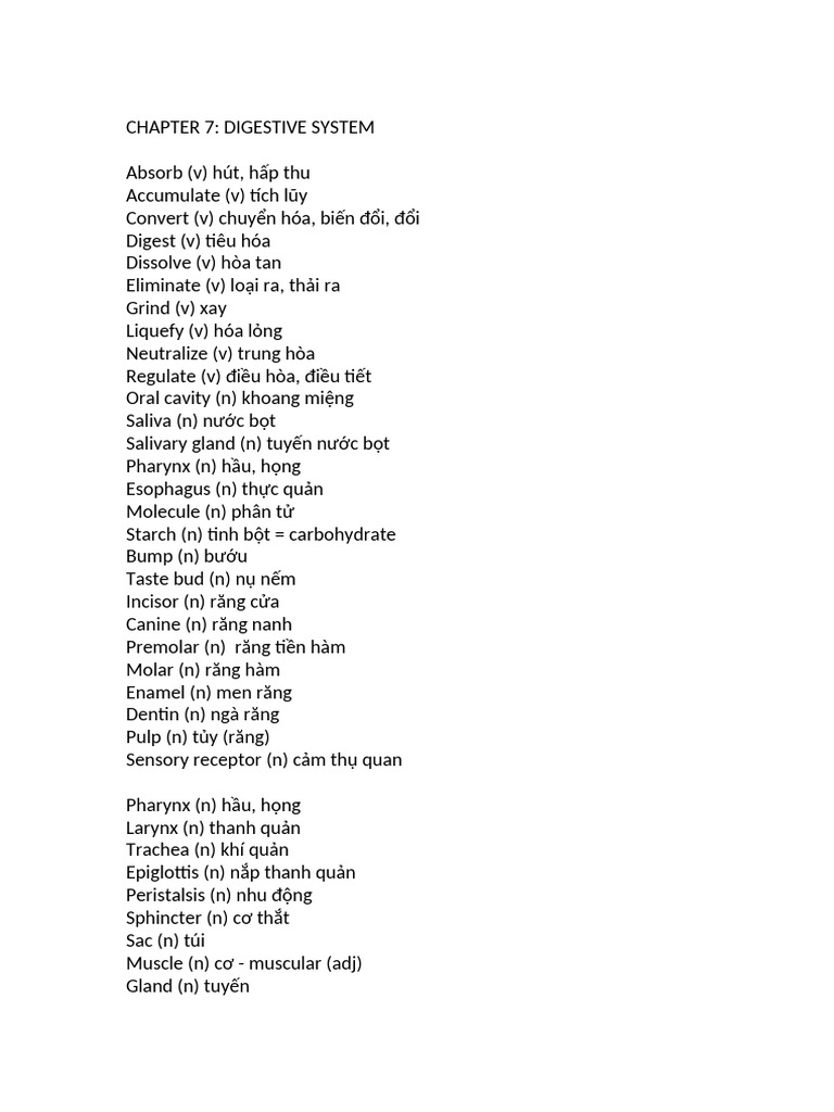 Chapter 7 Digestive System Vocabulary | PDF