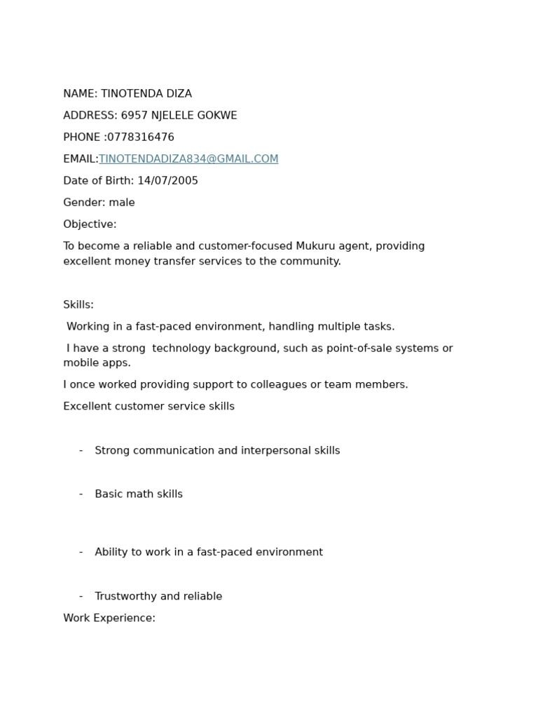 Mukuru Agent Application Overview | PDF