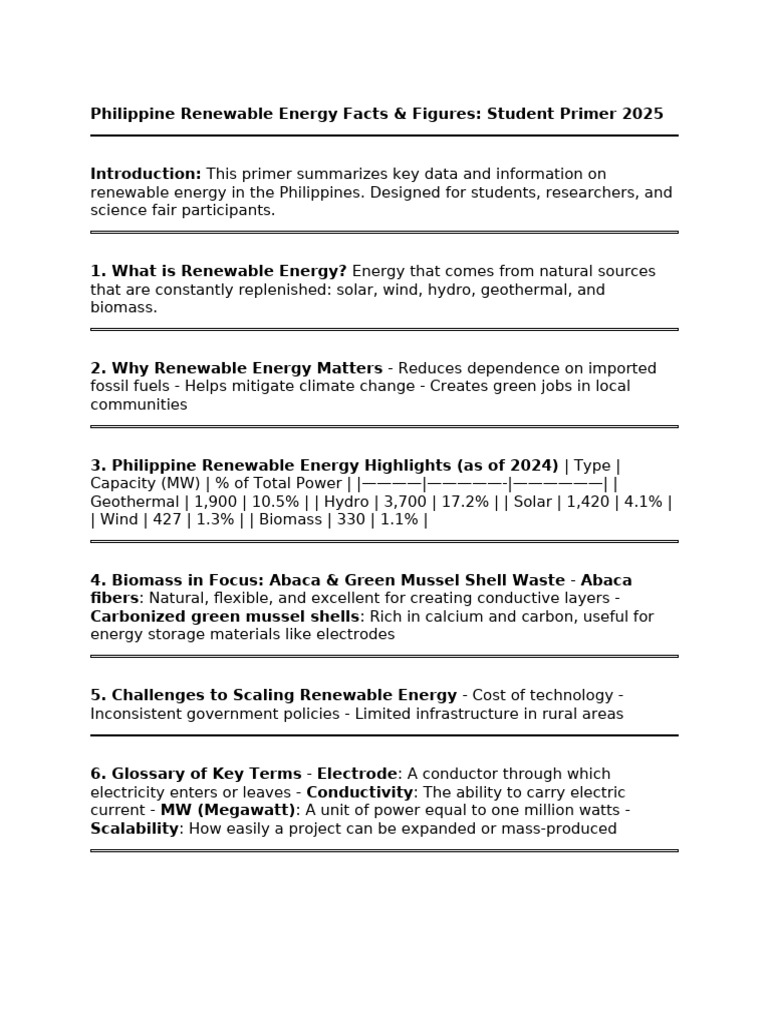 Philippine Energy Primer | PDF