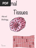 Specialised Animal Cells - Living Organisms - KS3 Biology - BBC ...