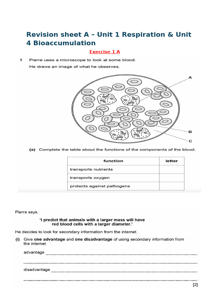 JABBAR42 - 3 Apic Revision Sheet For Progression Test - Unit 1 and 4 | PDF