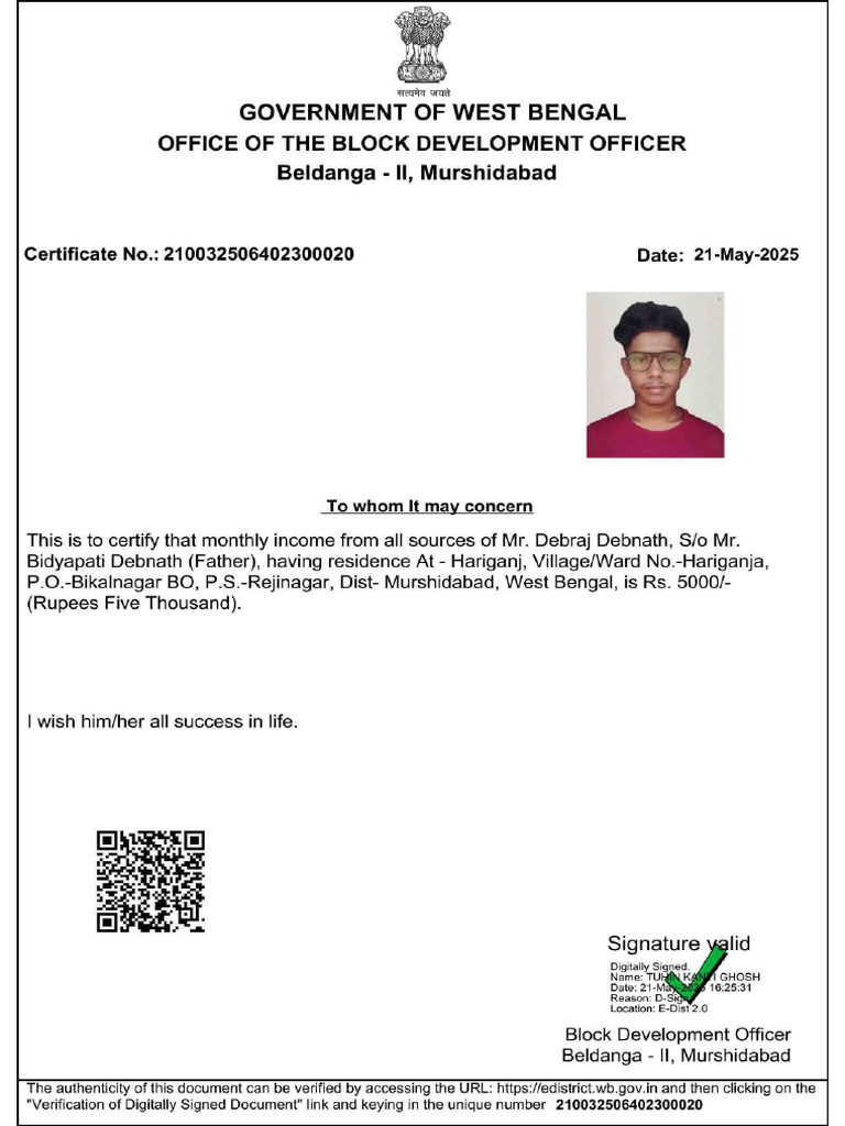 Deb Income | PDF