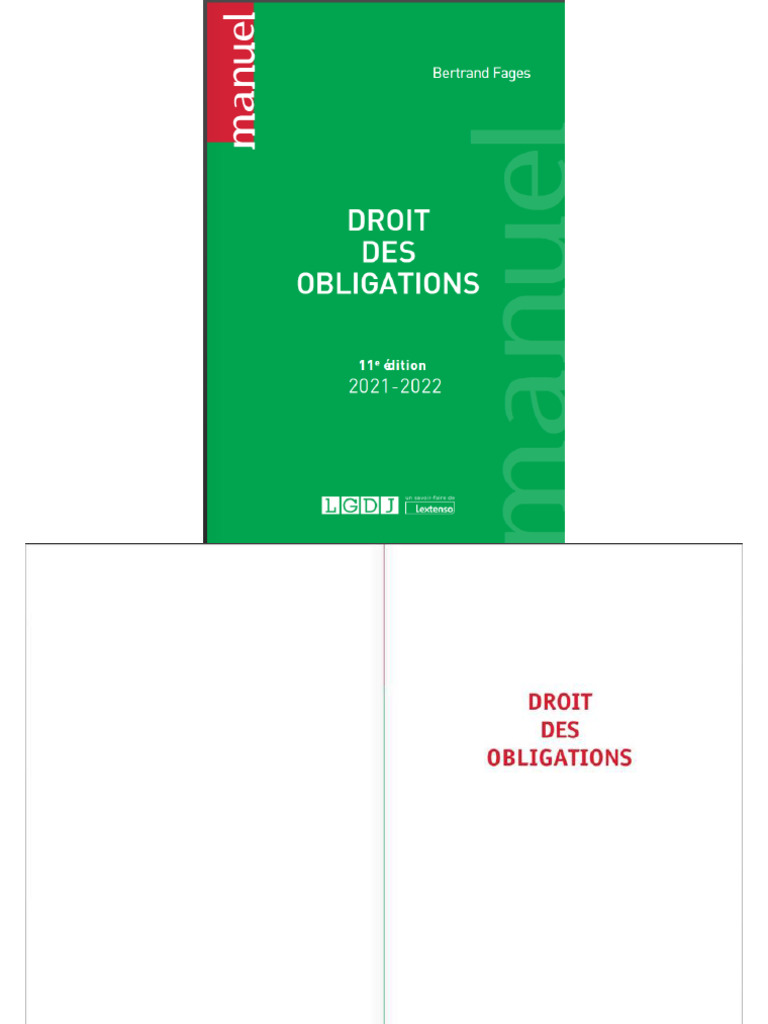 Bertrand Fages Droit Des Obligations PDF Free | PDF
