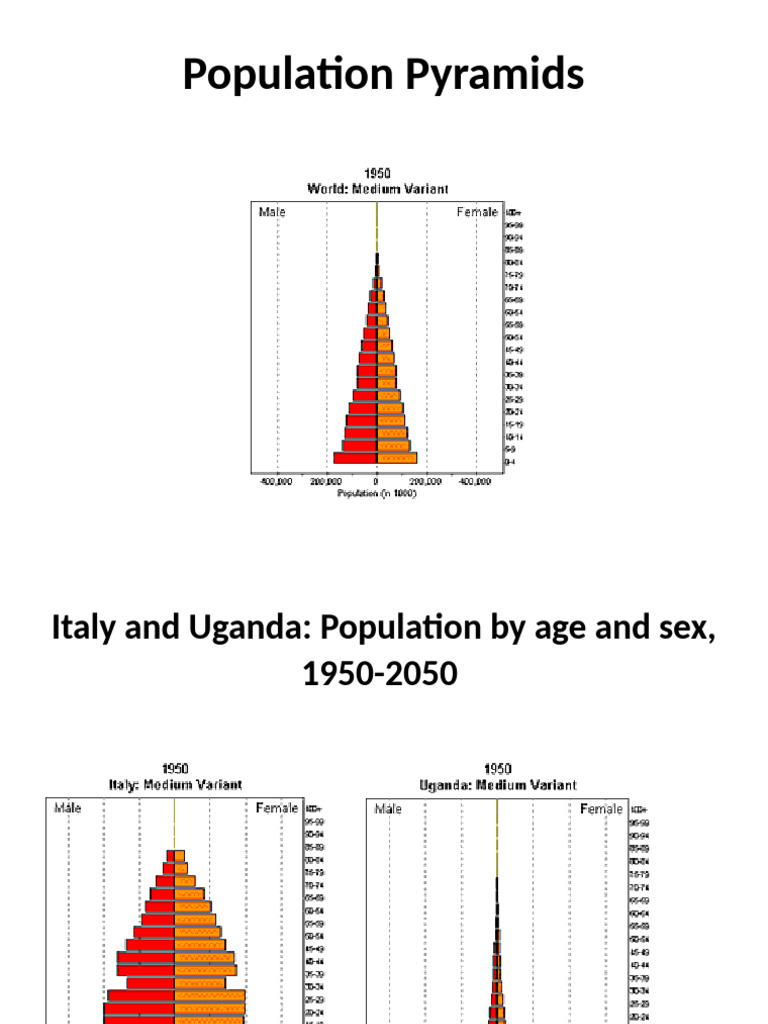 Population Pyramids | PDF
