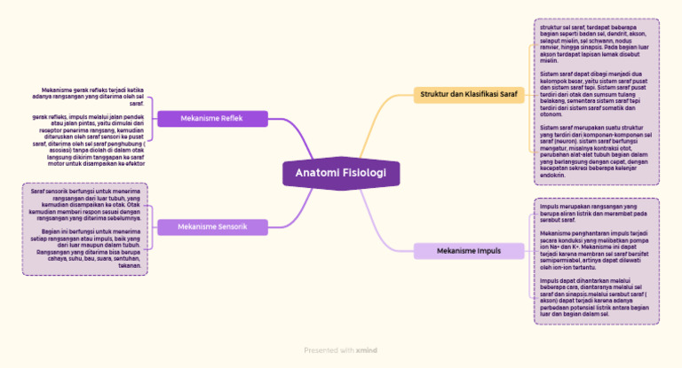 Muhamad Khoirul Anam - Mind Mapping 6 Anatomi Fisiologi | PDF
