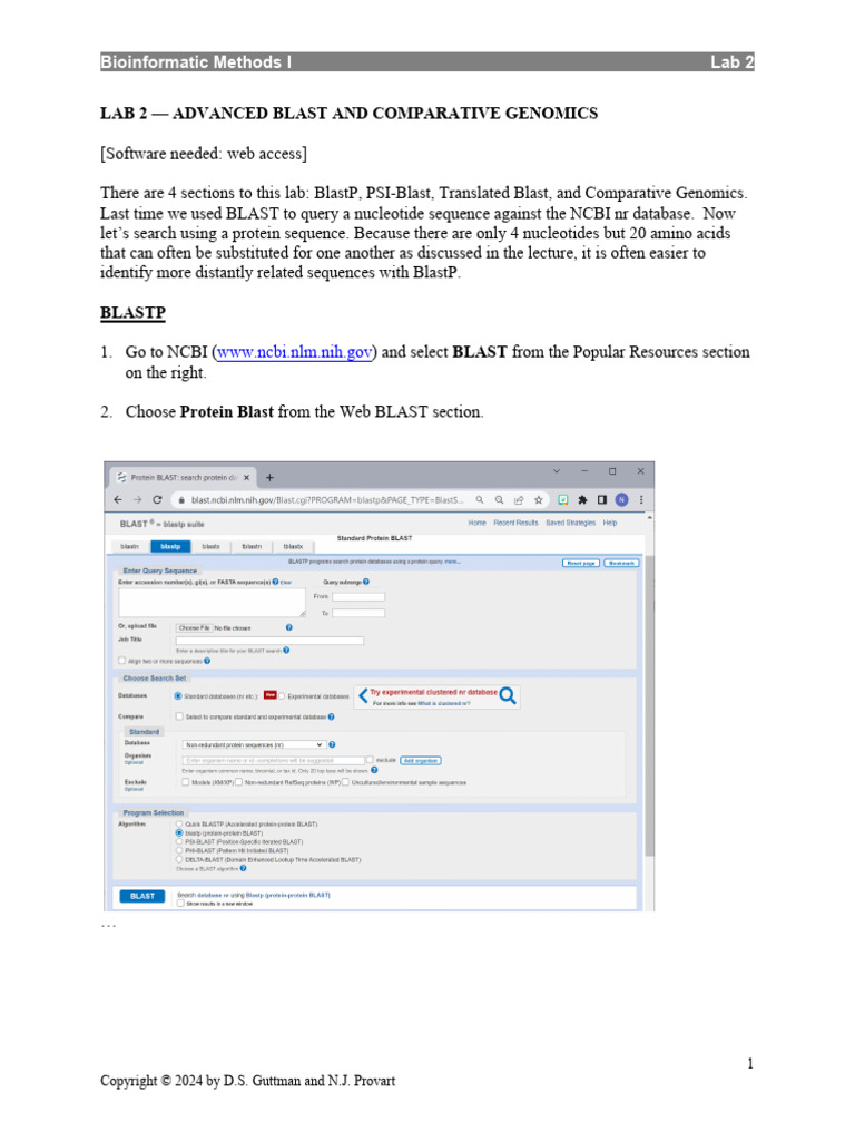 Bioinformatics 1 p3 | PDF | Sequence Alignment | Biology