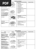 Western Aphasia Battery Test WAB Sample 2 | PDF | Aphasia | Speech