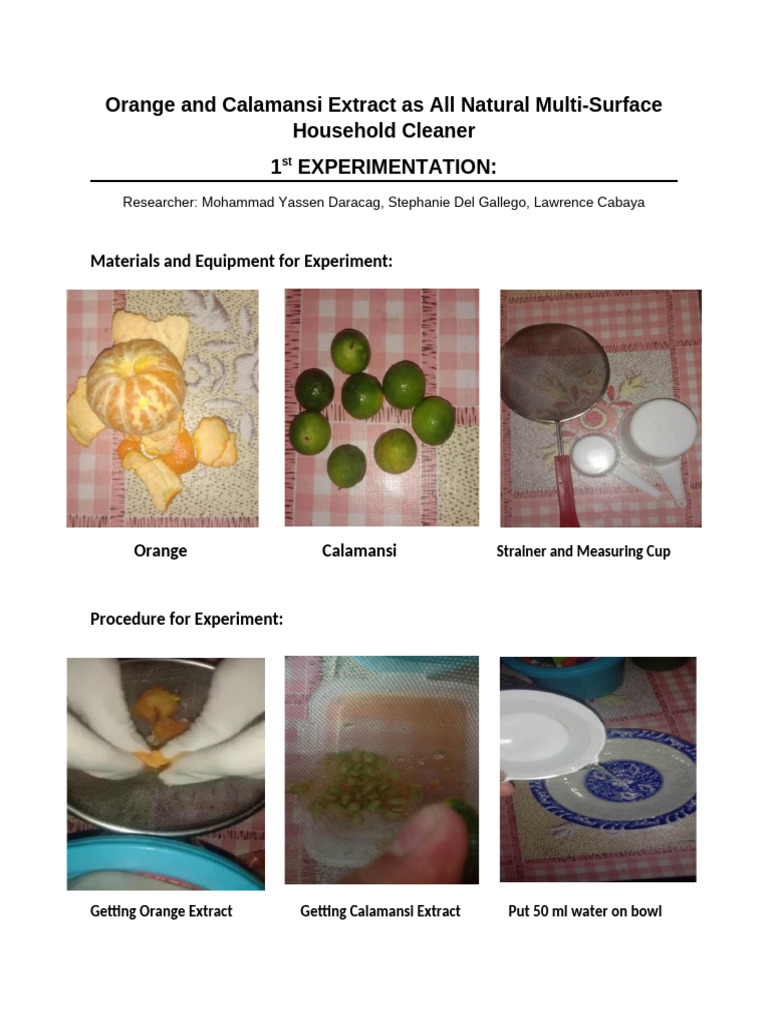 Experiment Log: Citrus Cleaner Efficacy | PDF