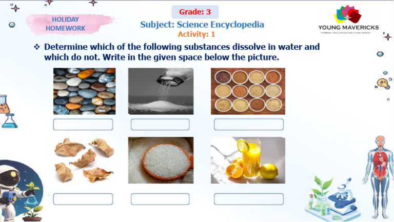 SCIENCE Grade 3 Activity-1 | PDF