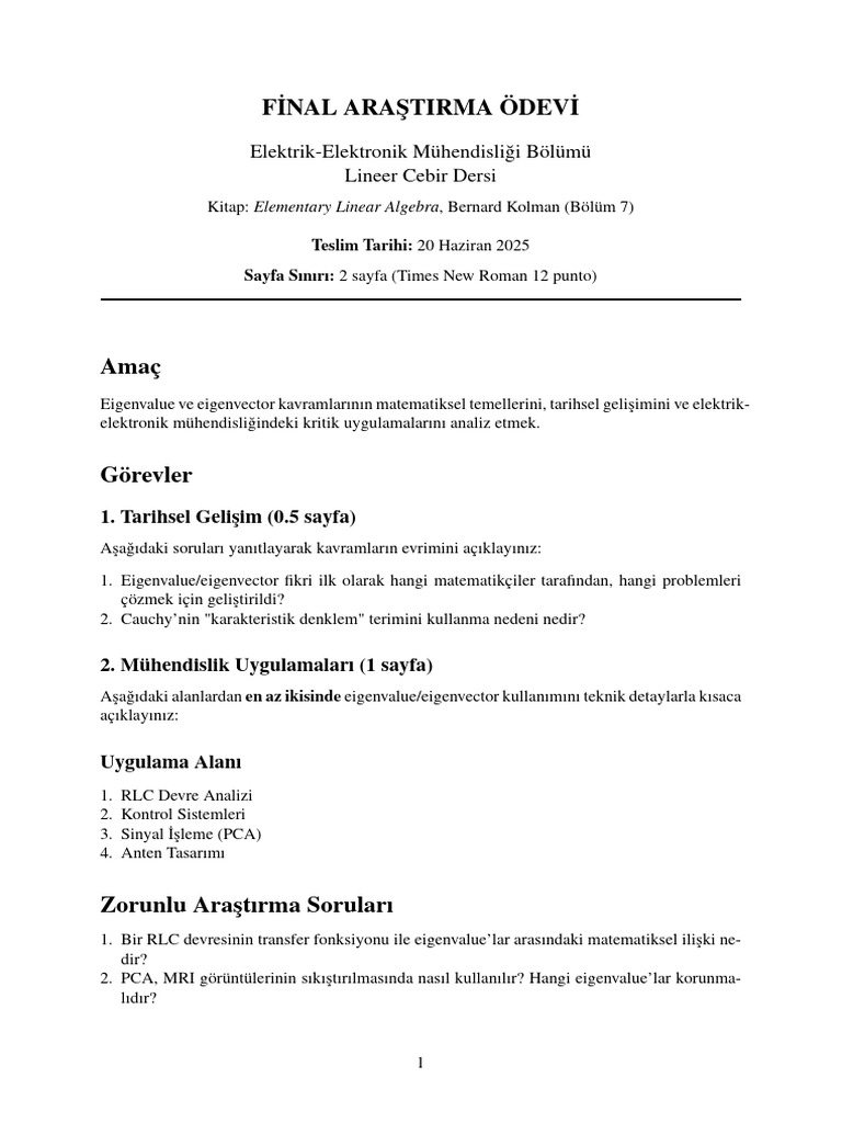 Lineer Cebir Final Ödevi | PDF