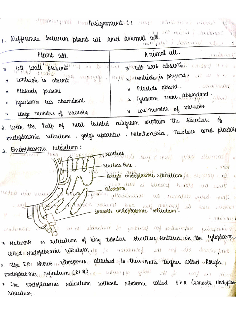 Biology Assignment - 1 | PDF