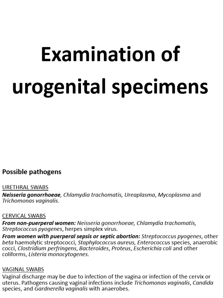 Examination of Urogenital Specimens | PDF | Streptococcus | Human Diseases And Disorders