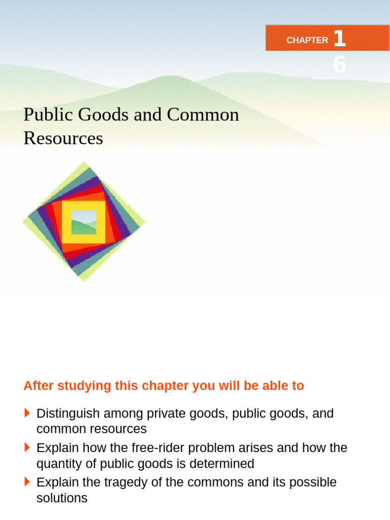 Ch16-8e - Micro - Public Goods and Common Resources | PDF | Goods ...