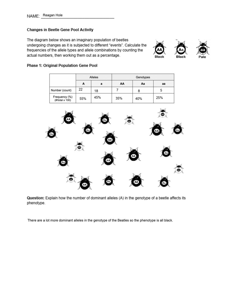 Kami Export - k g k Sch ZGVta29fbXlsYUBkdWJsaW5zY2hvb2xzLm5ldA Demko ...
