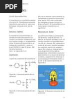 Prospecto Cronocorteroid Iny | PDF | Corticosteroides | Glucocorticoides