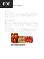 Tomato Spray Program | PDF