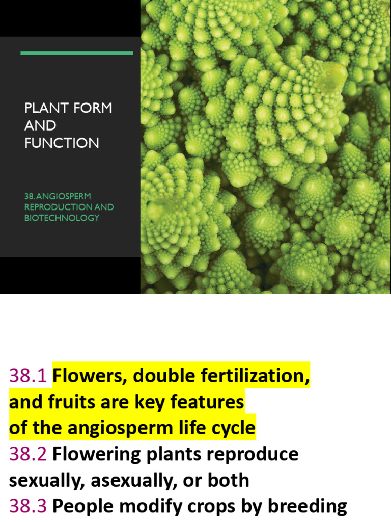 Plant Form AND Function: 38. Angiosperm Reproduction and Biotechnology | PDF