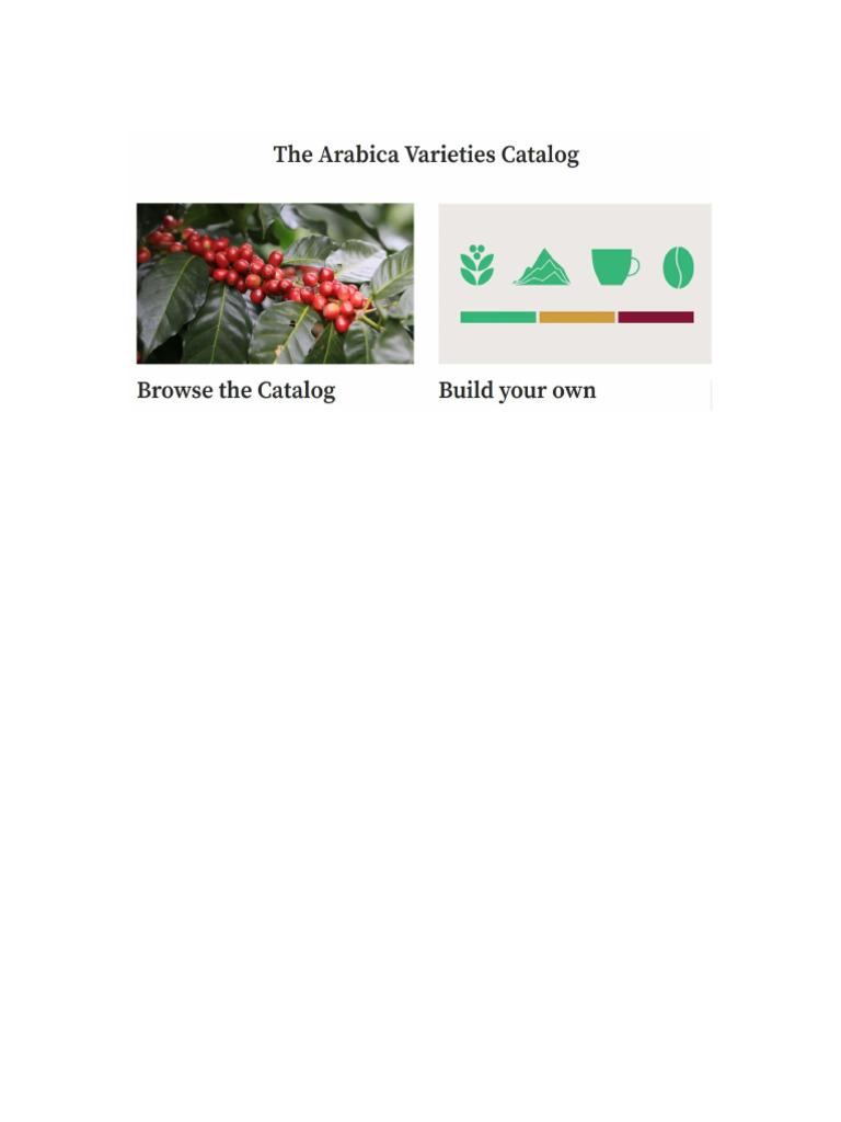 Arabica Varieties Catalog | PDF