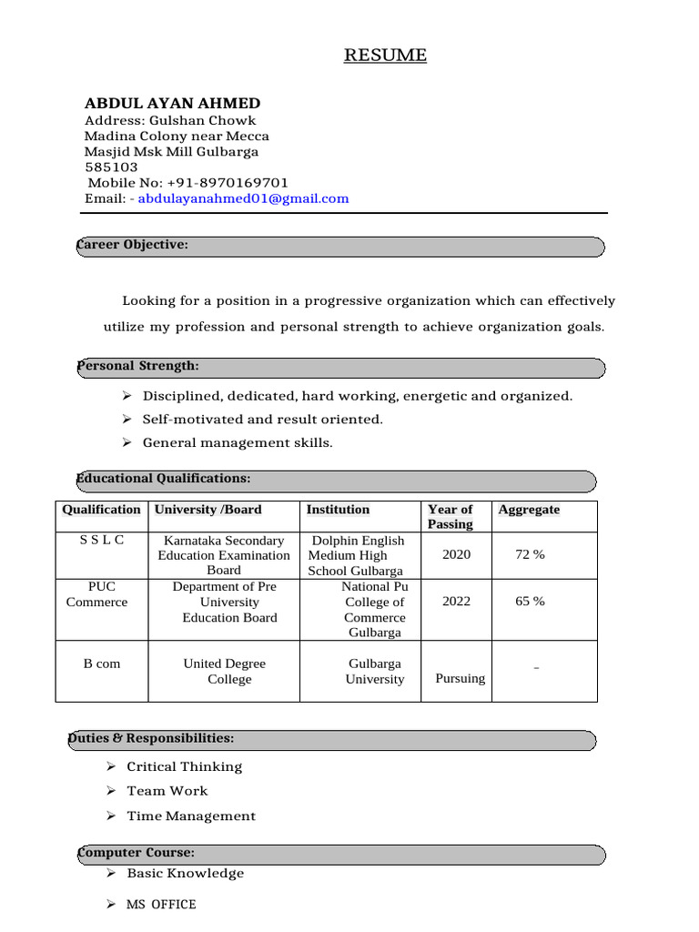 Abdul Ayan Ahmed: Resume | PDF