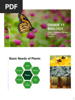 Plants Specialized Structures | PDF