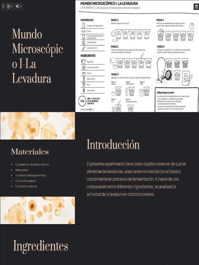 Mundo Microscópico I La Levadura Pdf