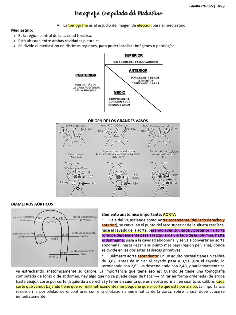 DX 2 Era Camilamenezes | PDF | Aorta | Corazón