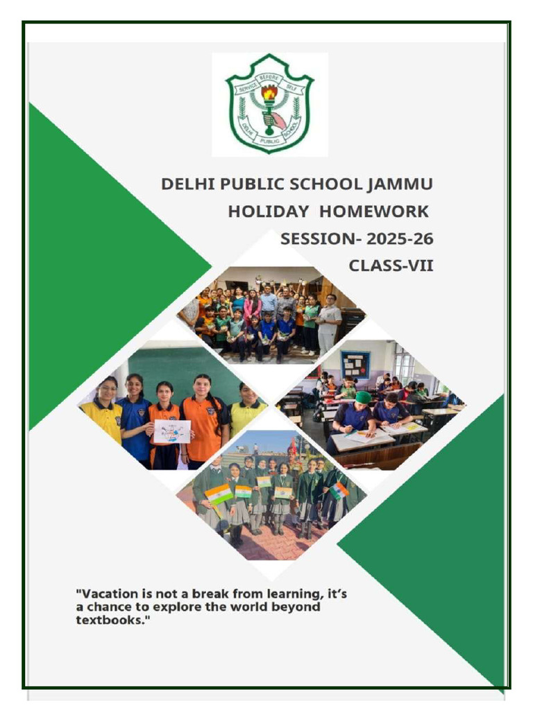 Holidays Homework Class VII | PDF