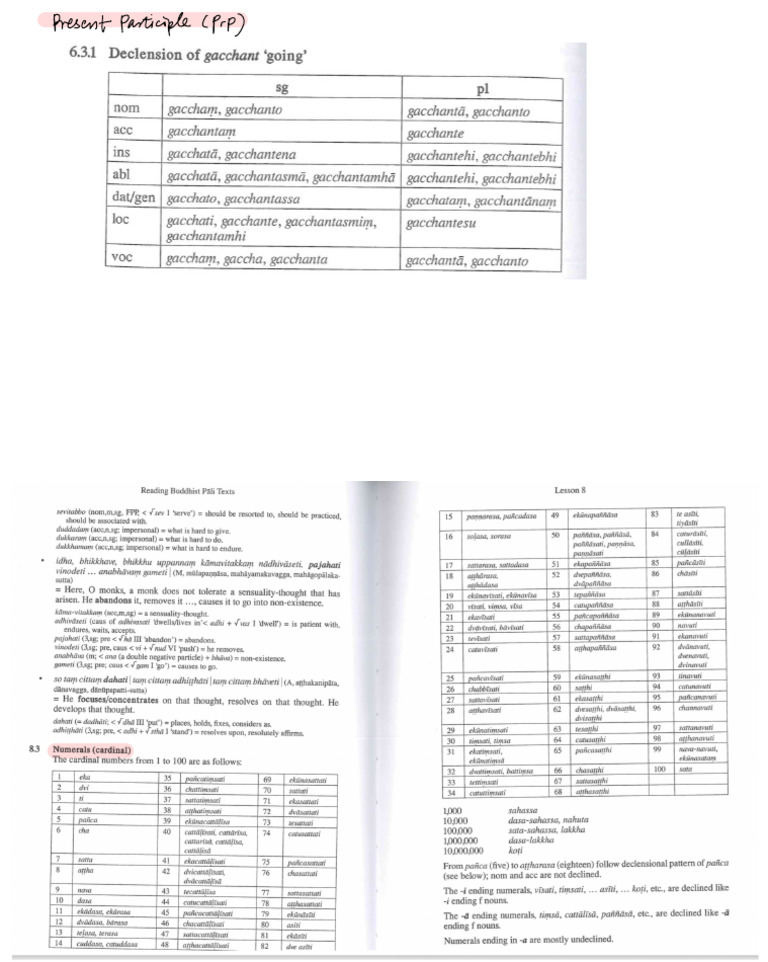 Pali Additional Grammar Tables | PDF