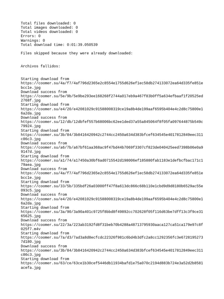 Log 20241031 004824 | PDF | Computing