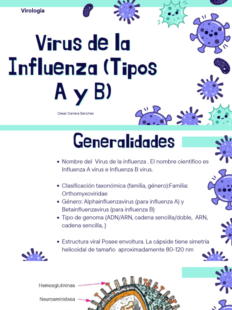 Influenza A y B: Características y Manejo | PDF | Influenza | Virus