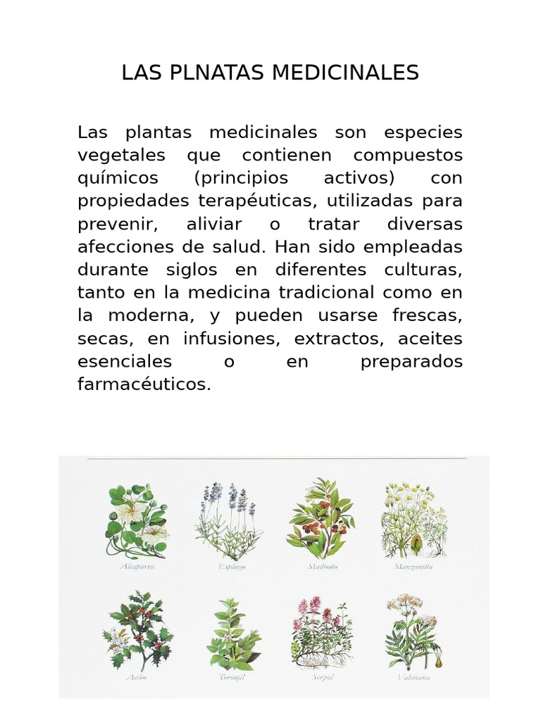 Las Plnatas Medicinales | PDF
