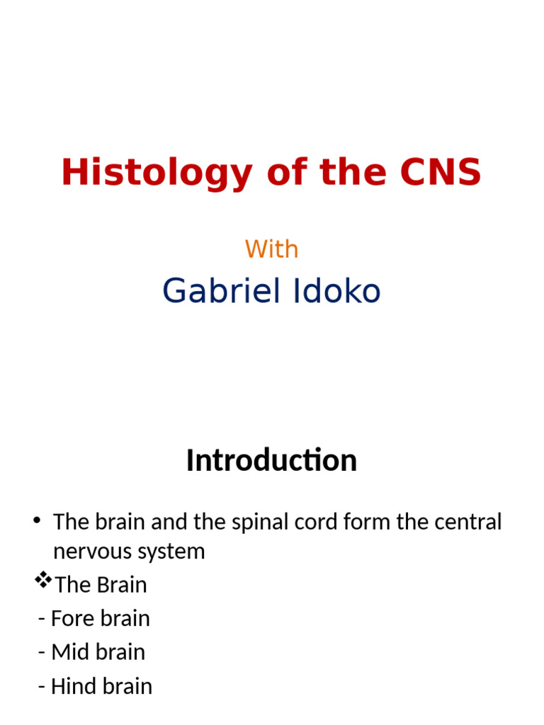 Histology of The CNS | PDF | Cerebellum | Spinal Cord