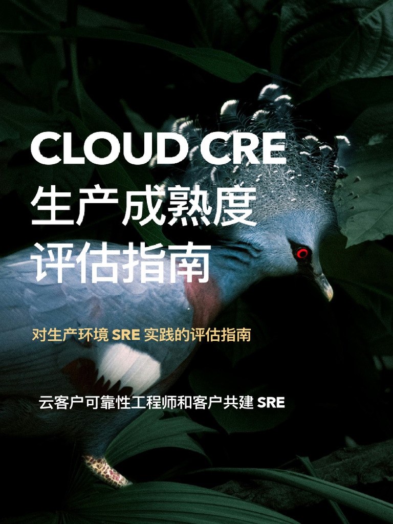Cloud Cre Production Maturity Assessment CN | PDF