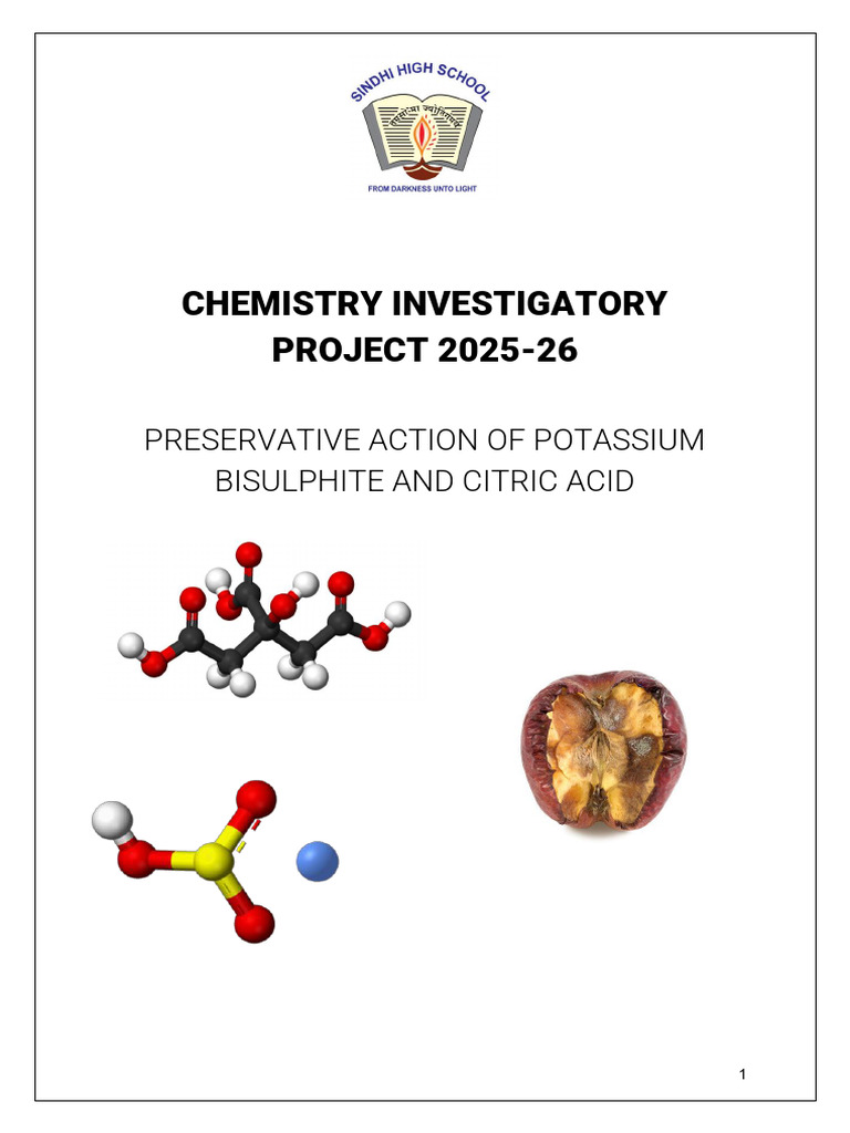 Potassium Bisulphite as Food Preservative | PDF | Food Preservation ...