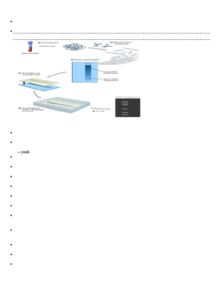 DNA Fingerprinting | PDF | Polymerase Chain Reaction | Microsatellite