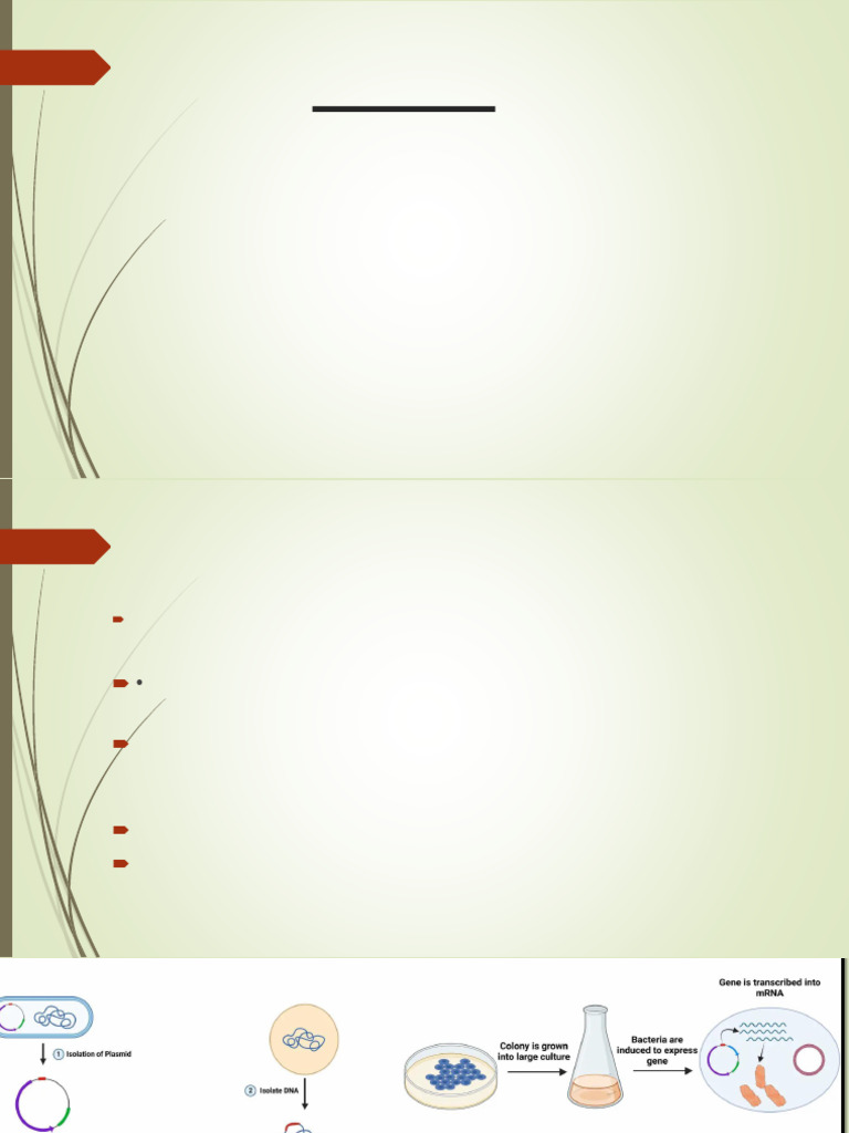 LEC-1 The Basic Principles of Gene Cloning A | PDF | Molecular Cloning ...